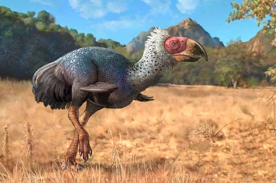 Las aves prehistóricas predadoras más grandes AVE del TERROR